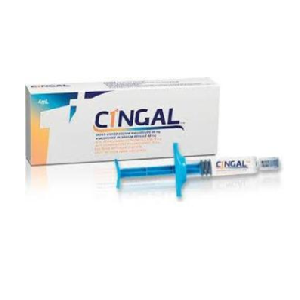 Cingal - Dr. Dimentberg – RocketMed